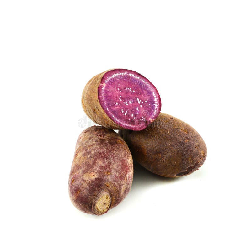 34,332 Ignam zdjęć stockowych - bezpłatne i z licencją Royalty Free od ...