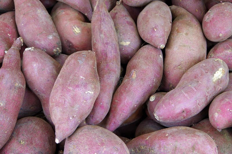 Ignames de chine image stock. Image du moisson, centrale - 18118559