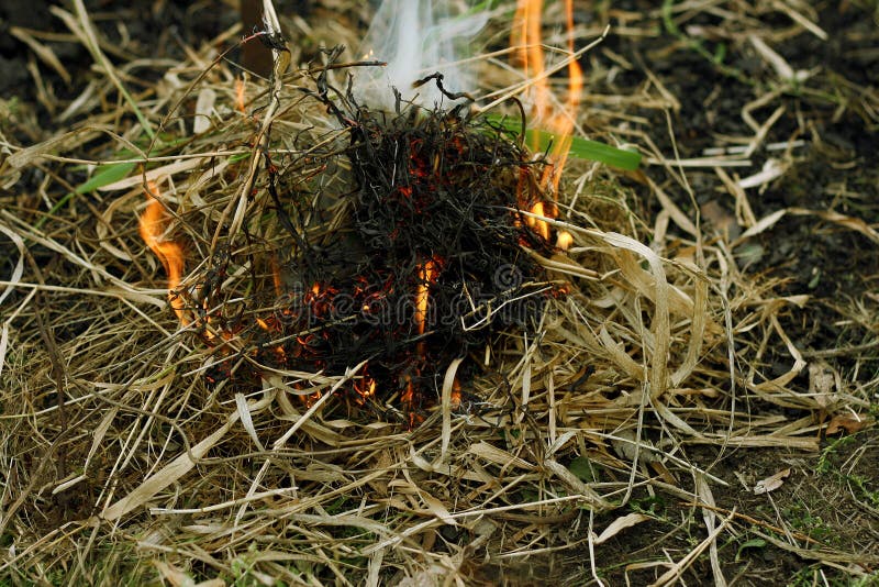 Incipient Fire Stock Photos - Free & Royalty-Free Stock Photos from ...