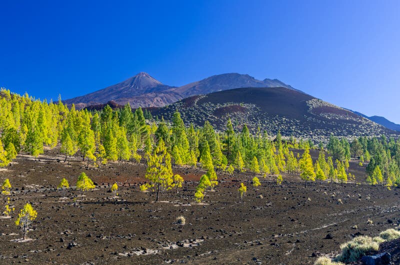 Mount Teide and Volcanic Terrain in Tenerife Stock Image - Image of ...