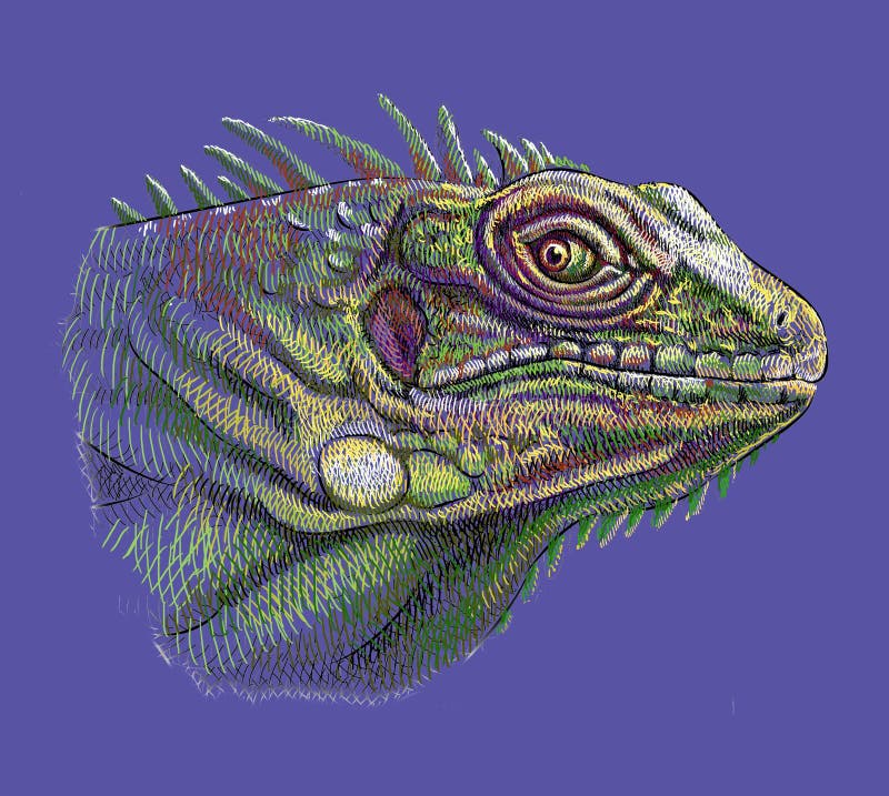 Iguana Head Artistic Drawing Stock Illustration - Illustration of ...