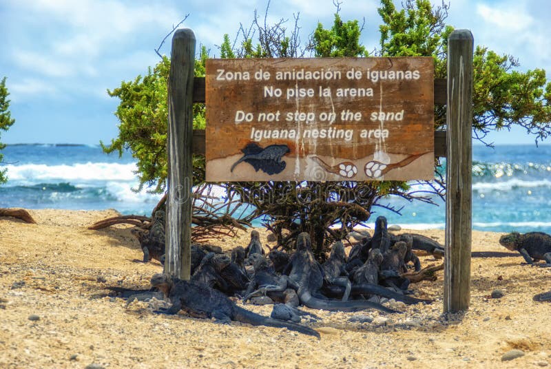 Iguana nesting area sign stock image. Image of ocean - 202609227