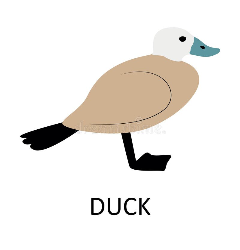 Duck Cute Portrait with Name Text Smiley Head Cartoon Round Shape ...