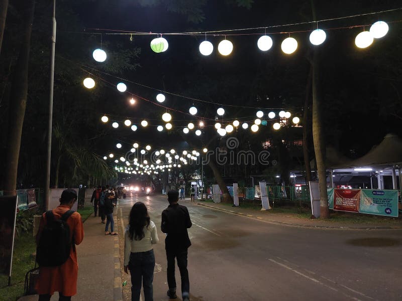 IIT Bombay Techfest Night Street View with Decorations, Indian ...