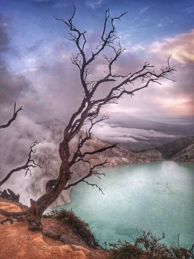 Ijen crater active volcano stock image. Image of savanna - 262687029