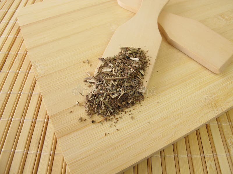 Ijzerkruid, herba Verbenae stock afbeelding. Image of nave - 23409593