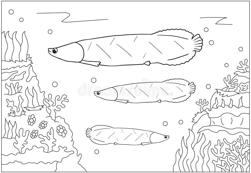Kids Line Illustration Coloring Sea Animals Stock Vector - Illustration ...