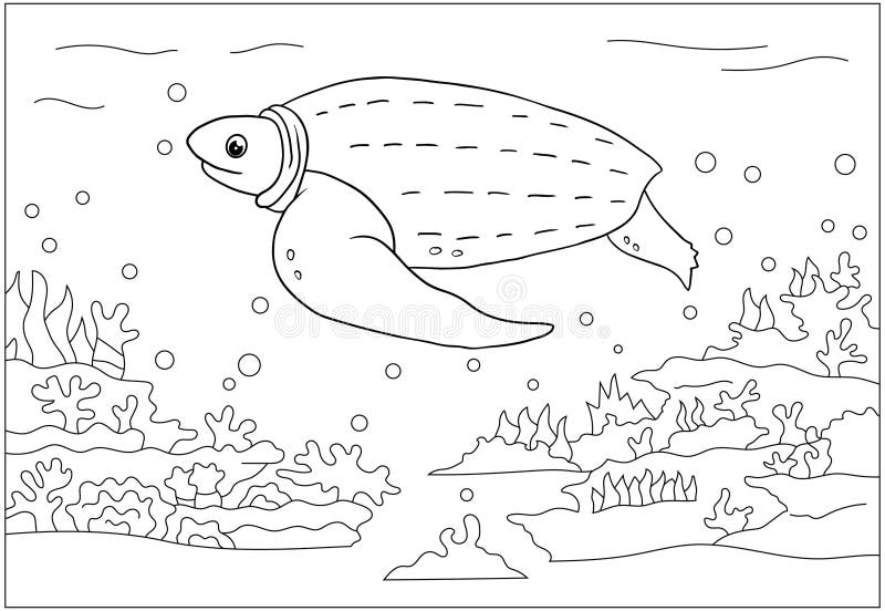 Kids Line Illustration Coloring Sea Animals Stock Vector - Illustration ...