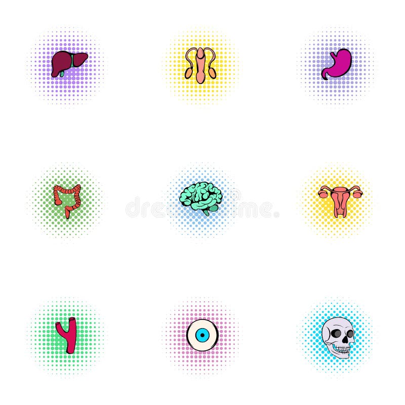 Ikonen Der Inneren Organe Eingestellt, Pop-Arten-Art Vektor Abbildung ...