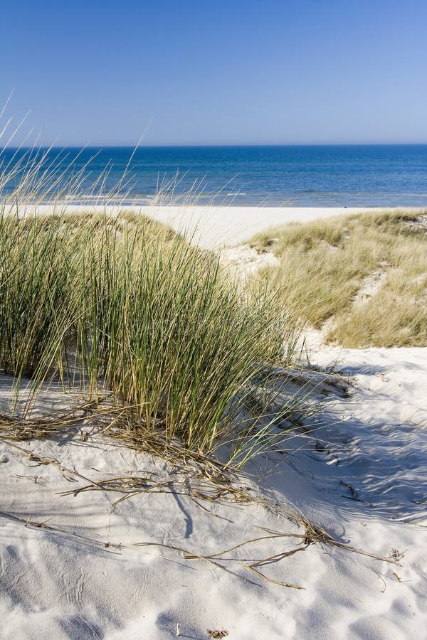 Il deserto di Leba immagine stock. Immagine di sabbioso - 5297747