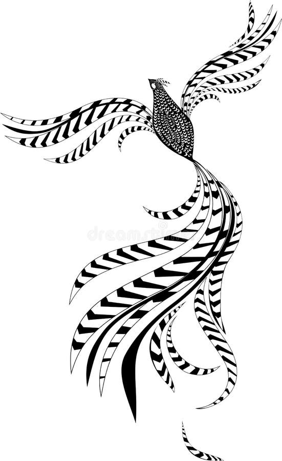 Fagiano illustrazione vettoriale. Illustrazione di comune - 35188501