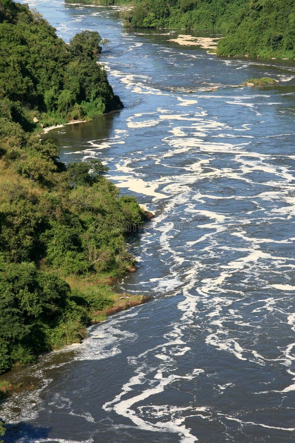 Il Fiume Di Nilo, Uganda, Africa Immagine Stock - Immagine di ...