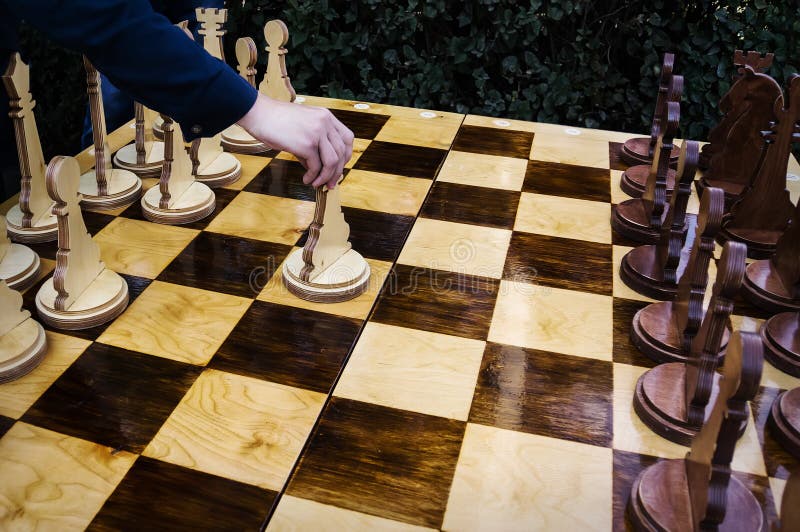 Scacchi - inizio del gioco fotografia stock. Immagine di bordo - 18537952