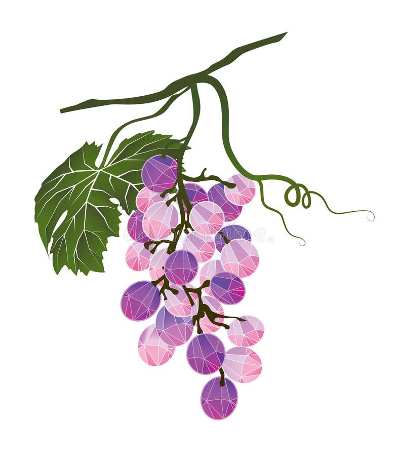 Il Mazzo Di Uva Ha Stilizzato Poligonale Illustrazione Vettoriale ...
