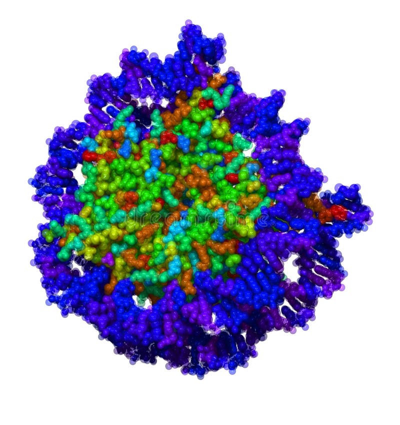 Componente 8, Un Prodotto Di Exosome Della Proteina Illustrazione di ...