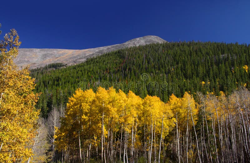 Il monte Elbert immagine stock. Immagine di giallo, autunno - 34021829