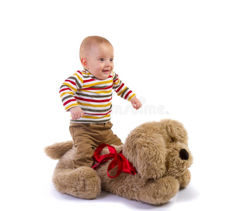 Prendere la poppa del cane illustrazione vettoriale. Illustrazione di ...