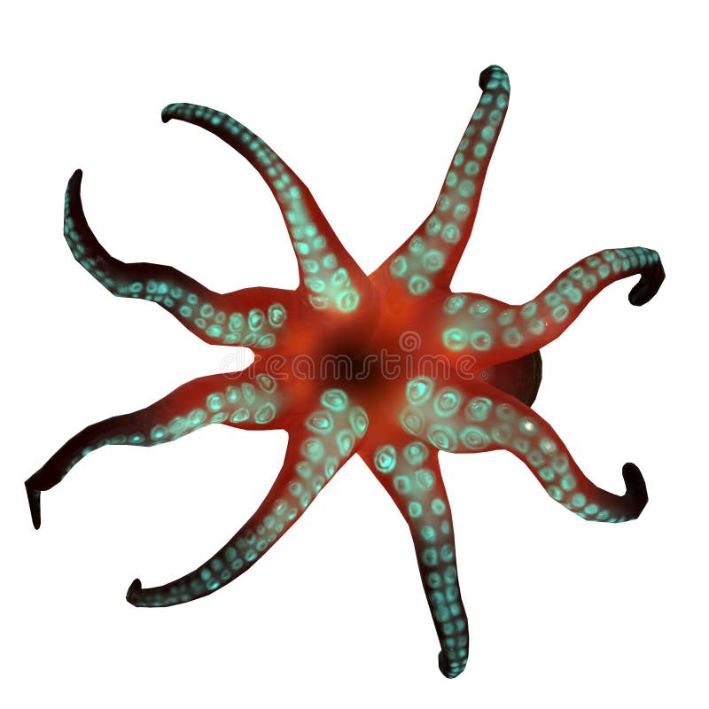 Il polipo 3d rende illustrazione di stock. Illustrazione di mare - 54688183