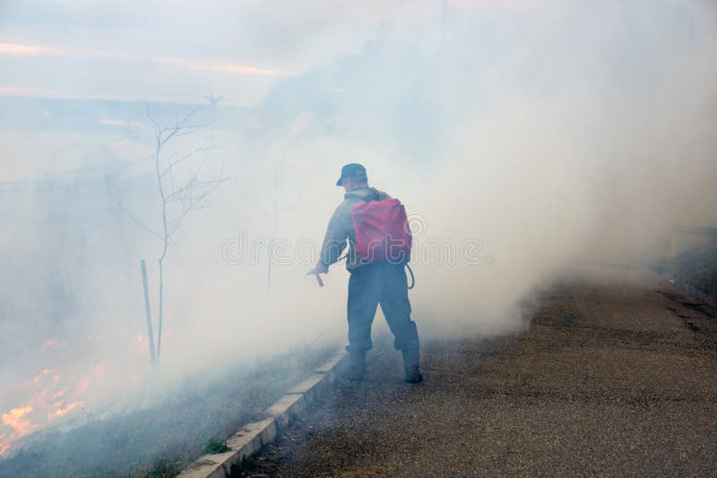 Il Pompiere Estingue Il Fuoco Delle Piante Asciutte Dell'anno Scorso ...