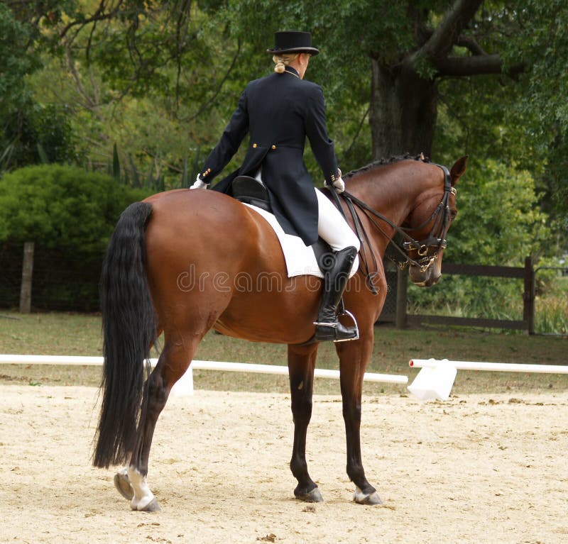 Il saluto immagine stock. Immagine di cappello, giro, capelli - 2411629