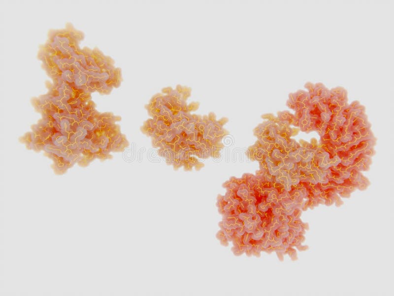 Il Sistema Mitotico Kinase Nek7 Si Lega All'nrlp3 Inattivo Che Porta ... Il Sistema Mitotico Kinase Nek7 Si Lega All'nrlp3 Inattivo Che Porta ...