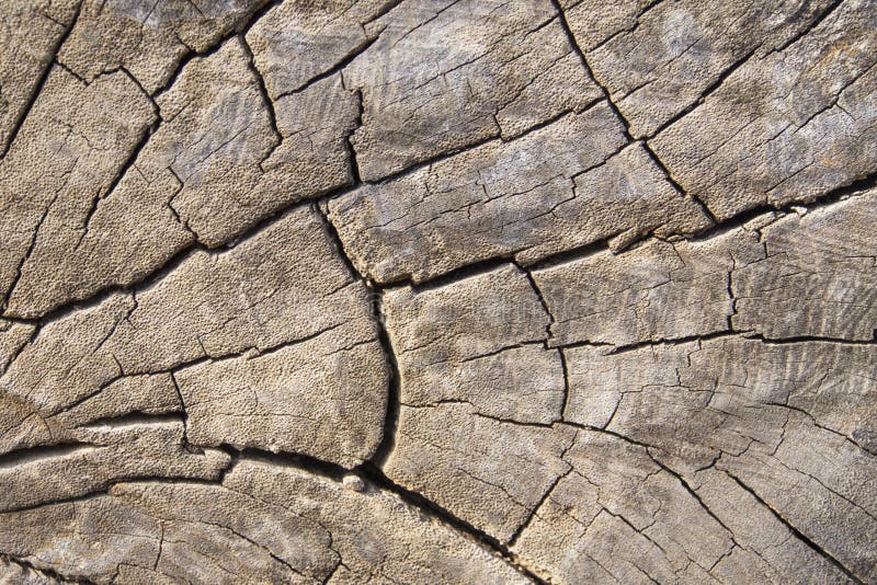 Texture di legno antico immagine stock. Immagine di materiale - 61348741