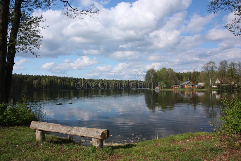 Ilgis lake in Lithuania stock photo. Image of branch - 40704704
