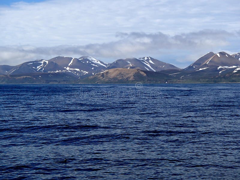 Ilha De Bering O Mar De Bering, Comandante Islands Imagem de Stock ...