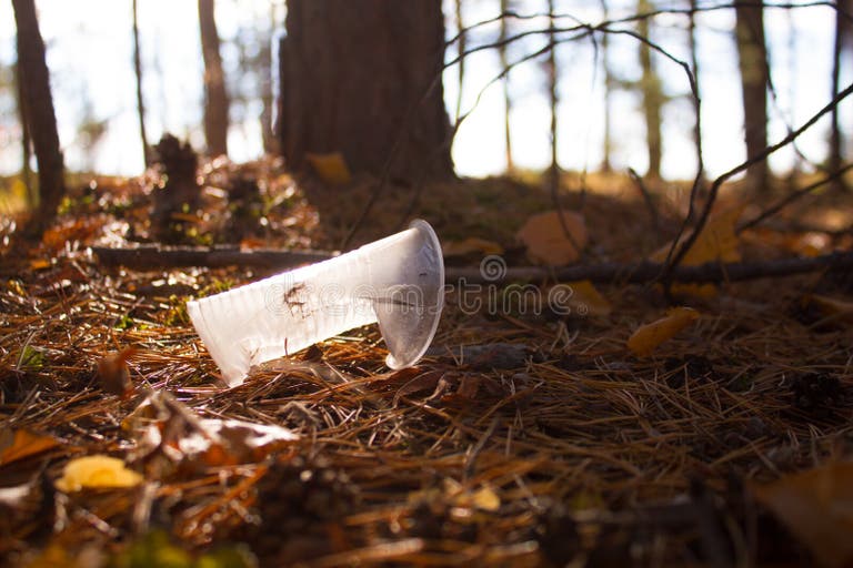 Illegal Discarded Coffee Mug Stock Image - Image of forest, litter ...