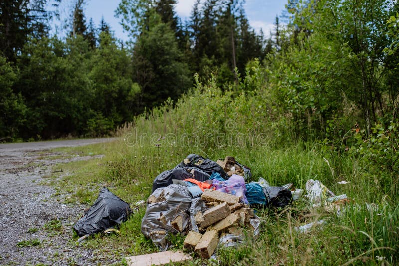 Illegal Dumping of Waste in Forest, Trashes in Black Plastic Bags ...
