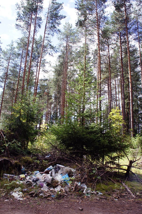 Illegal Garbage Dump in the Forest. Garbage Dump in the Park. Pile of ...