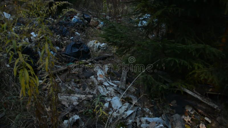 Illegal Garbage Dump of Plastic and Bottles in the Forest Pit Stock ...