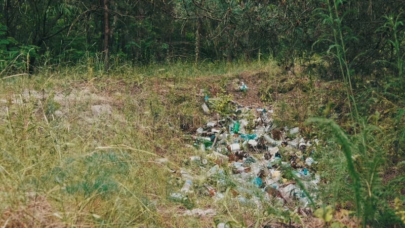 Illegal Garbage Dump of Plastic and Bottles in the Forest Pit ...
