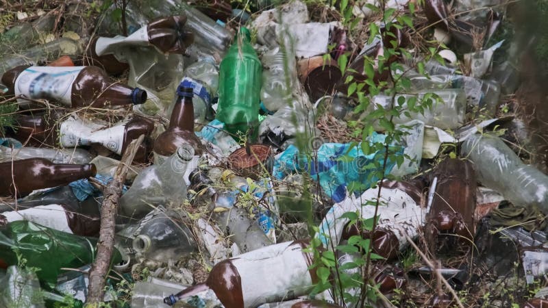 Illegal Garbage Dump of Plastic and Bottles in the Forest Pit Stock ...