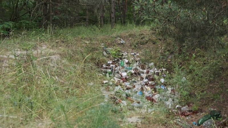 Illegal Garbage Dump of Plastic and Bottles in the Forest Pit ...