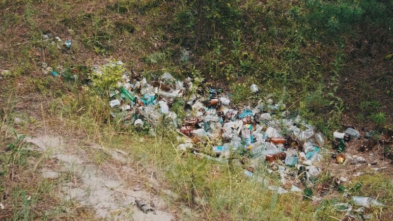 Illegal Garbage Dump of Plastic and Bottles in the Forest Pit ...