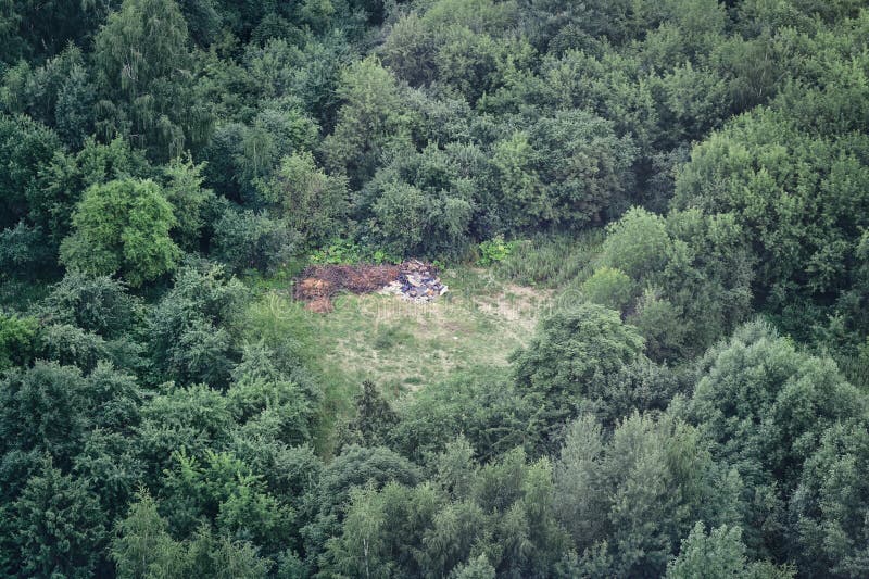 Illegal Garbage Dump among the Trees in the Forest. Garbage Unlawfully ...