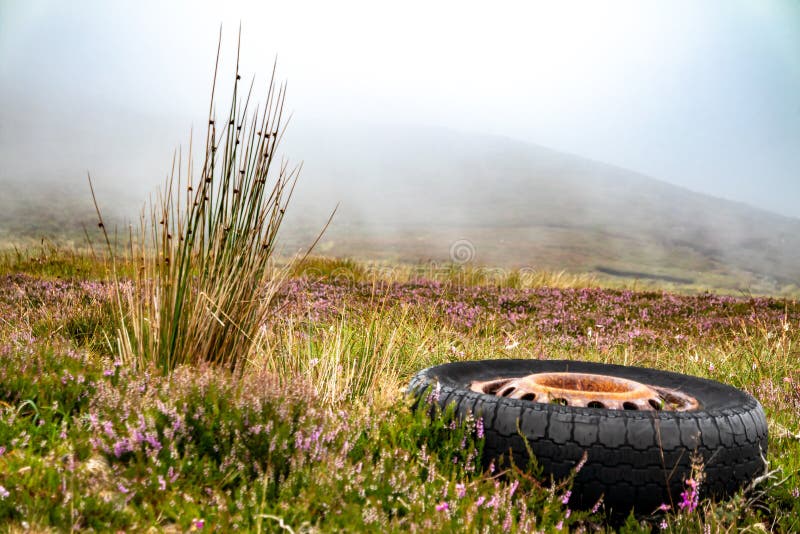 Illegally Dumped Dumped Tyre in Rural Ireland Stock Image - Image of ...