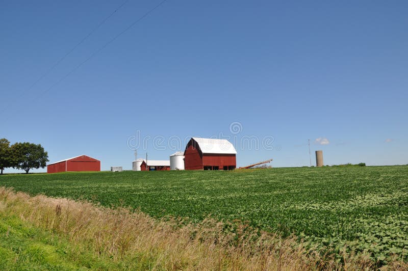 Red barn and bean field stock image. Image of farm, barn - 20835857