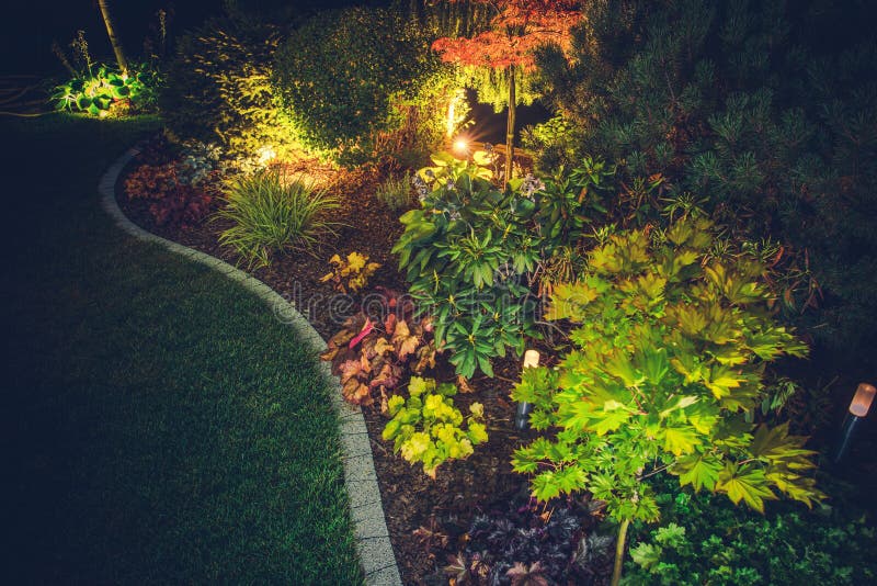 Backyard Garden Path at Night Stock Image - Image of plant, nature ...