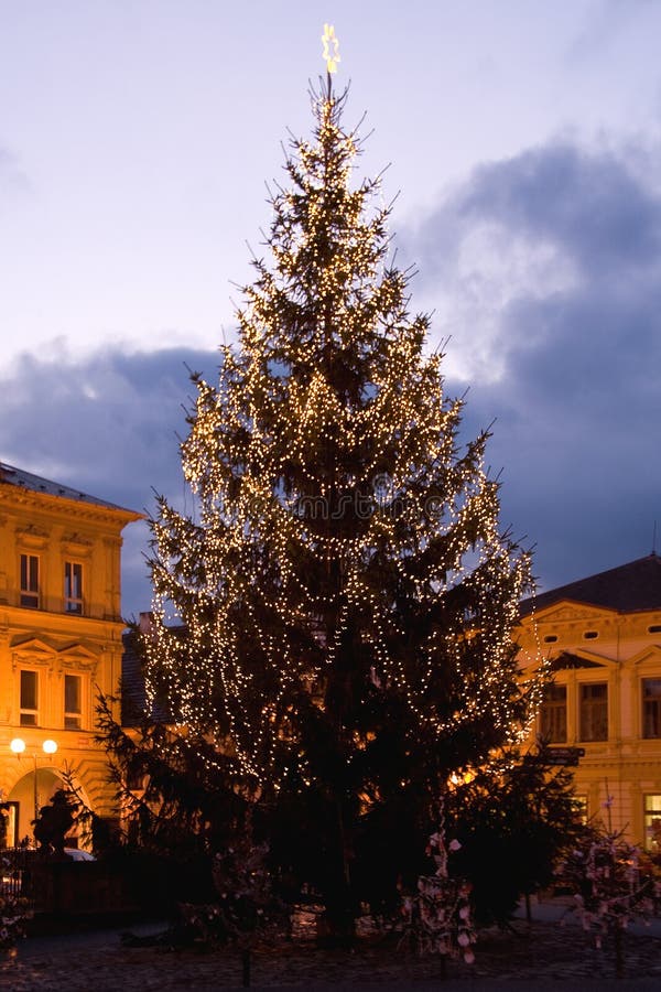 Illuminated Christmas tree stock image. Image of night - 7306895