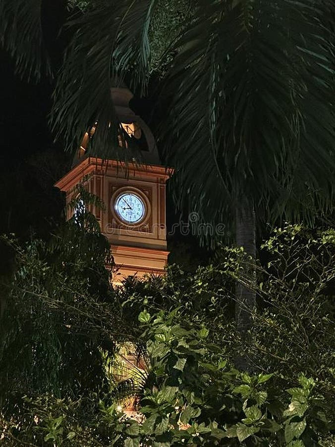 Illuminated Clock Tower at Night Surrounded by Greenery. Stock Image ...