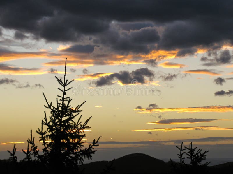 Illuminated Clouds at Sunset with a Dark Tree Down Stock Photo - Image ...