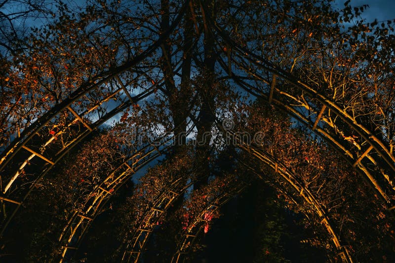 Illuminated Garden Arches in the Park Stock Image - Image of dusk ...