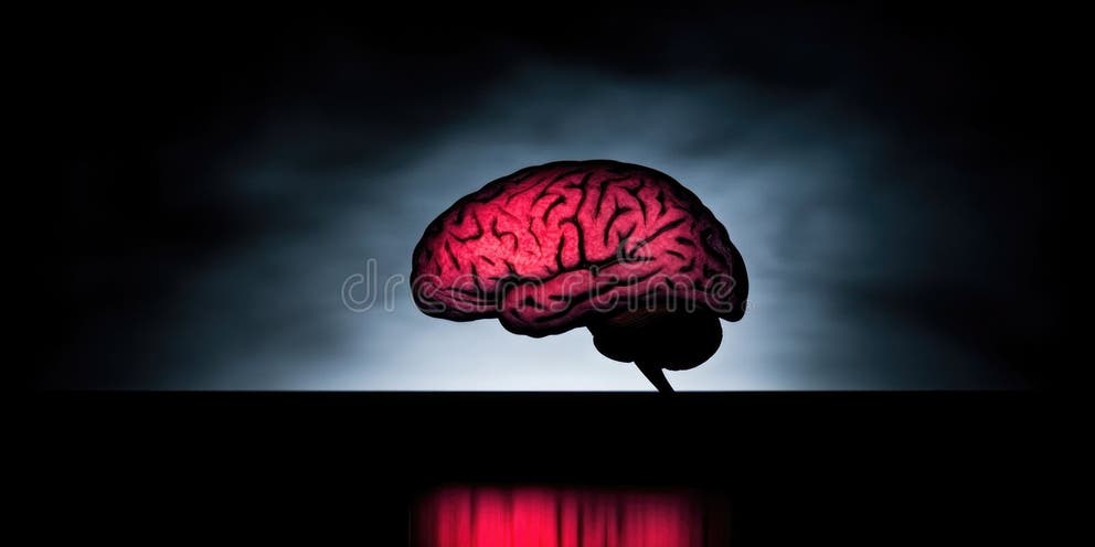 Illuminated Human Brain on Dark Background with Reflection Stock Image ...