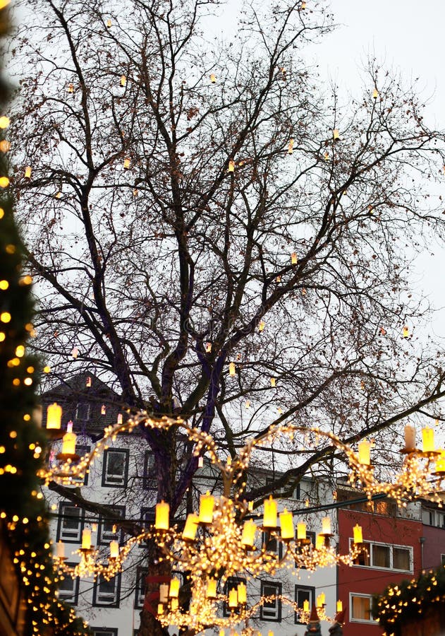 Illuminated Lanterns in a Tree Stock Image - Image of lights, christmas ...