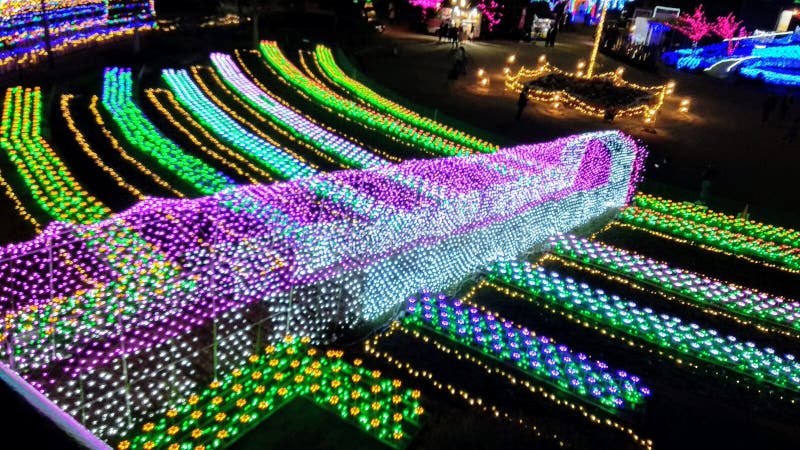 Illuminated Lights in a Park in Ibaraki, Japan Stock Photo - Image of ...