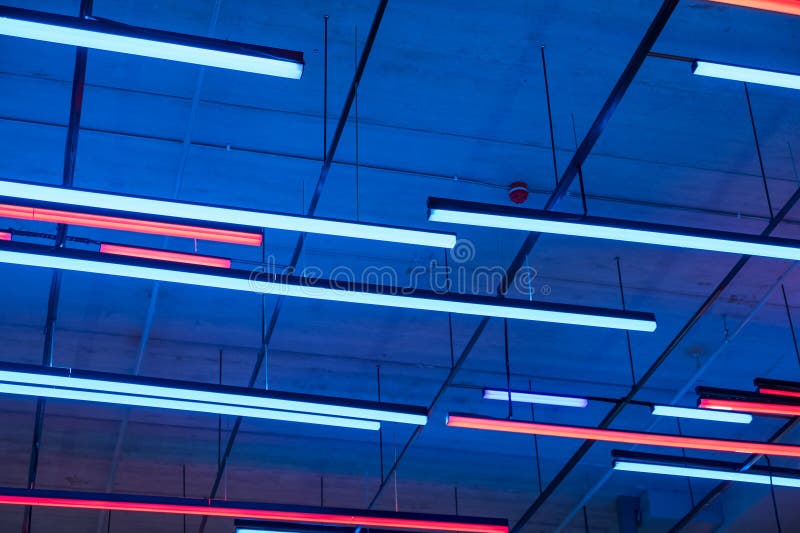 A Vibrant Display of Colorful Neon Lights Hanging from the Ceiling ...