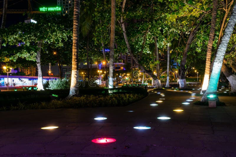 Illuminated Path in the Park between Palm Trees at Night Stock Image ...