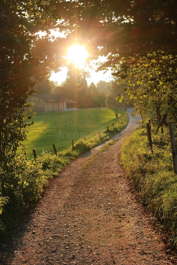 Illuminated Path in Rural Landscape Stock Photo - Image of magic ...